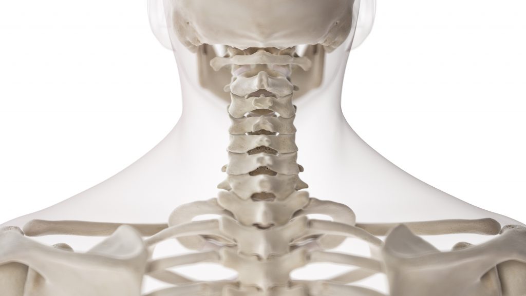 Douleurs au cou | Physiothérapie Centre du Québec